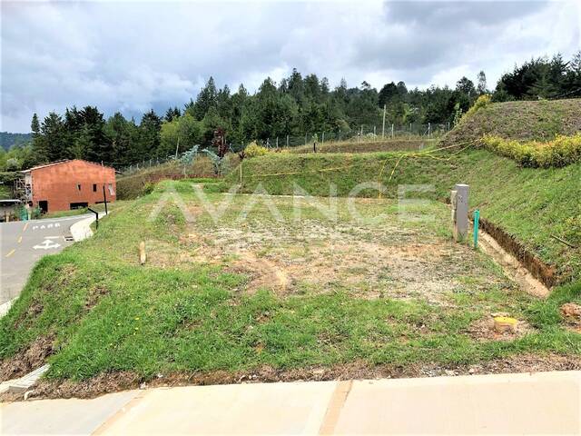 Oriente Antioqueño es AVANCE Finca Raíz