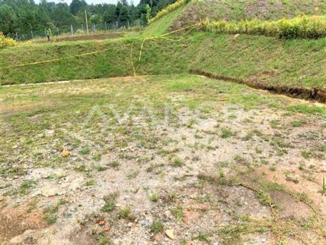 Oriente Antioqueño es AVANCE Finca Raíz