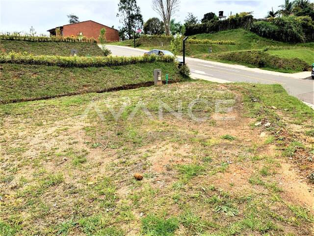 Oriente Antioqueño es AVANCE Finca Raíz